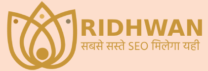 SEO Company in Delhi - 9711297573